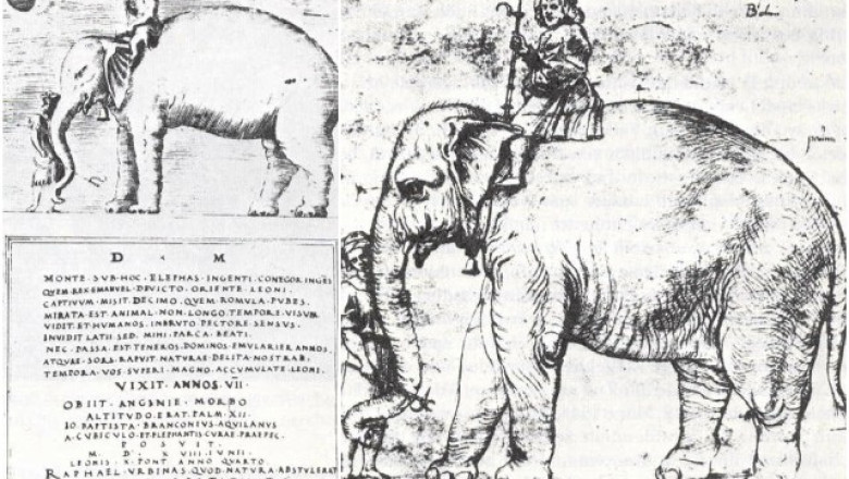 The Secret Elephant Under the Vatican: Unravelling Hanno's Tale